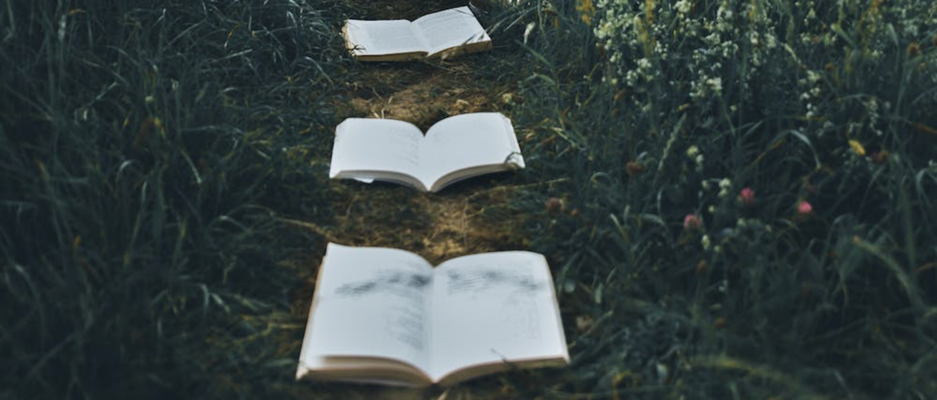 Finding the Perfect Book – Sharon Brubaker